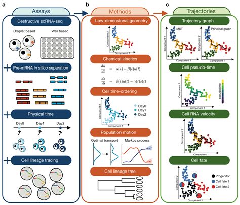 Current Progress And Potential Opportunities To Infer Single Cell Developmental Trajectory And