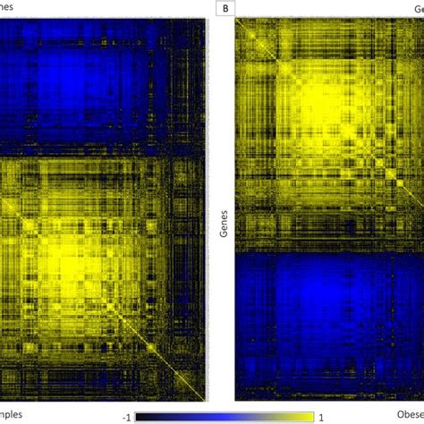Representation Of Gene Gene Correlation Plot The Correlation Plots Download Scientific Diagram