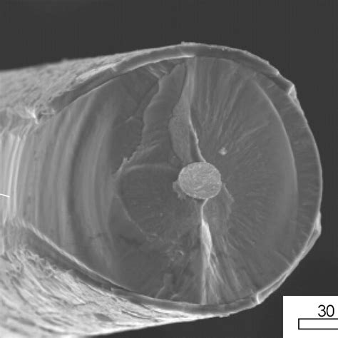 Fracture Surface Of One As Extracted Fibre Broken At 271 Gpa The Download Scientific Diagram