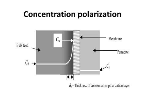 Membraneseparationspptx
