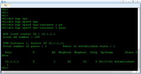 Mpls Bgp 跨域（optionabc（一二））bgp Option A Csdn博客