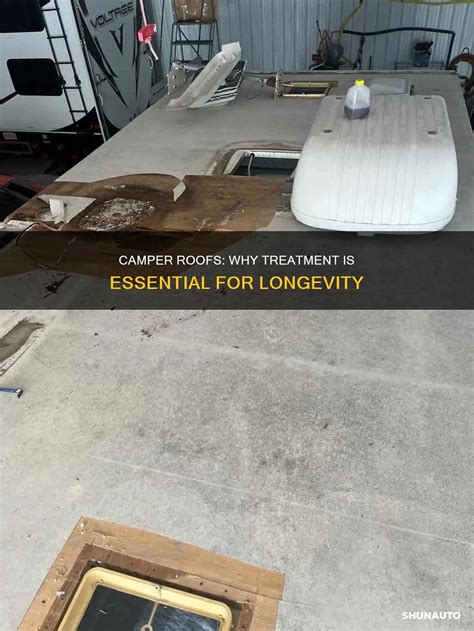 Camper Roofs Why Treatment Is Essential For Longevity Shunauto