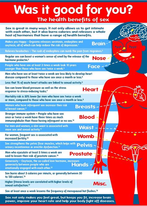 The Health Benefits Of Sex NYC Adult Sex Toy Shop Romantic Depot The Health Benefits Of Sex NYC Adult Sex Toy Shop Romantic Depot