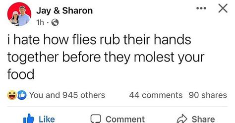 I Hate Bugs Album On Imgur