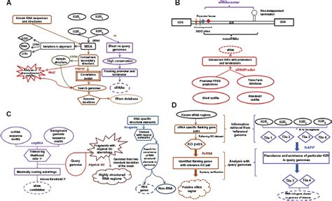 A Comparative Genomics Based Protocols Utilized In The Computational