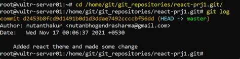 Setup React Website With Free Theme And Host In Ubuntu Vps — Part 1
