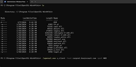 How To Disable Certificate Revocation Check For Windows Sstp Vpn