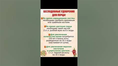 Удобрение для перца Youtube