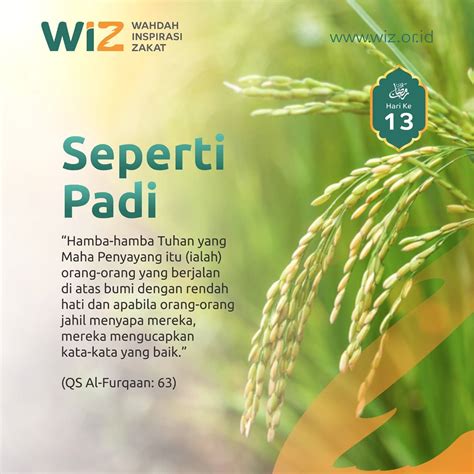 Ramdhan Hari Ke-13; Seperti Padi - WAHDAH INSPIRASI ZAKAT