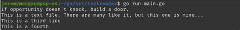 How To Read A Text File In Go