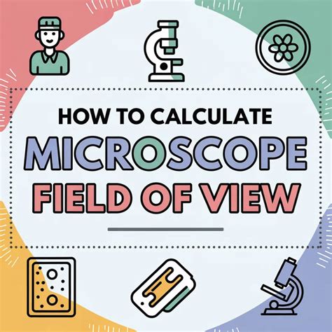 Step By Step Guide To Calculating Microscope Field Of View