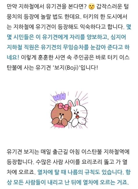 보지의 여행 DogDrip Net 개드립