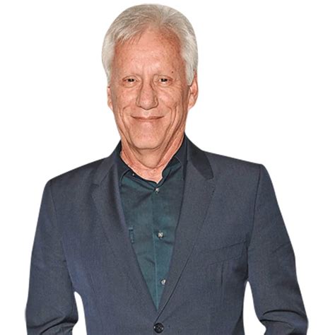 James Woods Suit Buddy Torso Up