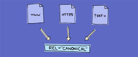 What Is A Canonical Url Best Practice Guide 2022 Shopify
