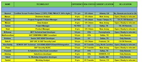 business analyst hotlist data analyst sap grc and sap security lead
