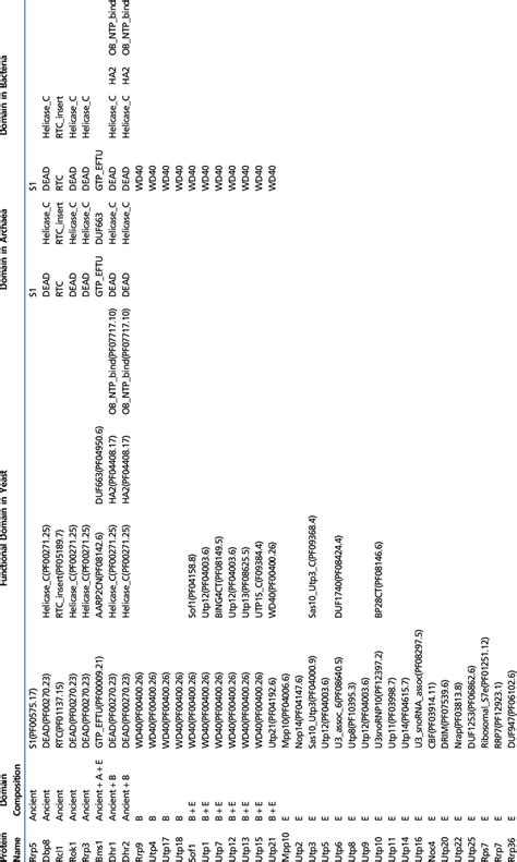 Domain Composition Of The 37 Eukaryote Specific Ssu Processome Proteins