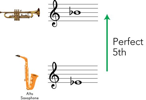 Transposition For Trumpet A Music Theory Guide