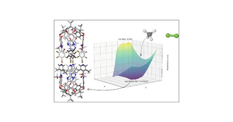 Evaluating Noncovalent Interactions In Halogenated Molecules With Double Hybrid Functionals And
