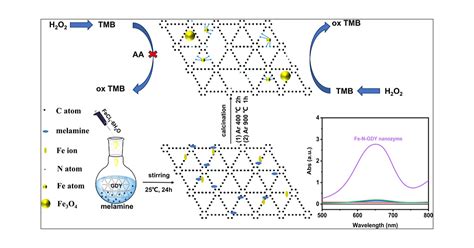 Enhanced Peroxidase Like Activity Of Graphdiyne Based Nanozymes By Fe And N Codoping For