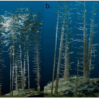 Handheld LiDAR Model For Plot Three A Extent And B Detail Download Scientific Diagram