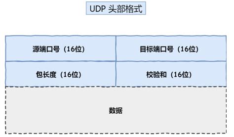 小林图解网络TCP篇 博客杂记 Harder and Better