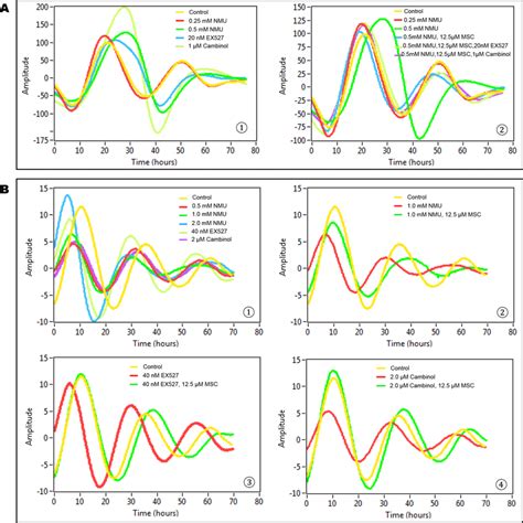 Msc Restored Cellular Circadian Rhythms Disrupted By Nmu And Sirt1 Download Scientific Diagram