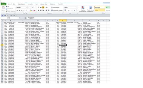 Excel Cell Editing Freelancer