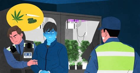 음주운전 의심 차량 잡고보니 마약 발견현행범 체포