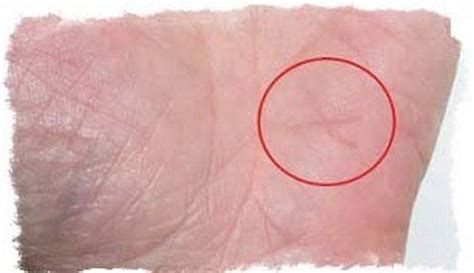 Хиромантия знаки на руке и их значение в судьбе каждого человека Узнай свою судьбу