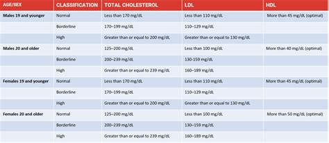 Cholesterol Levels Why Age Is A Factor