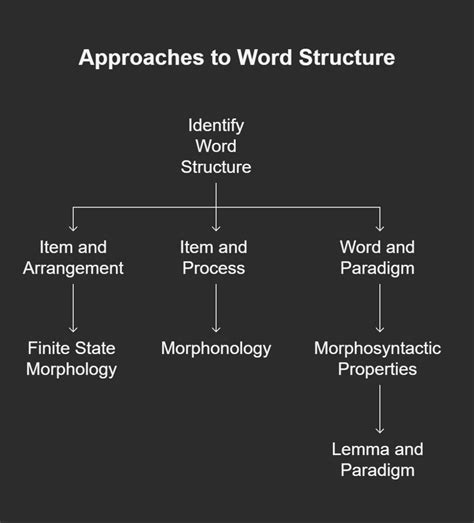 Morphological Analysis Nlp Process Typology And Challenges