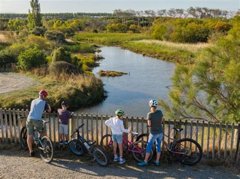 Ever Wondered How Community Foundations Work The Christchurch Foundation