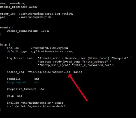 Webdock Part 11 A Step By Step Guide To Configure Nginx Logs