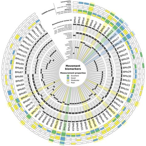 Circos Plot⁴¹ Synthesising The Main Characteristics And Measurement Download Scientific Diagram