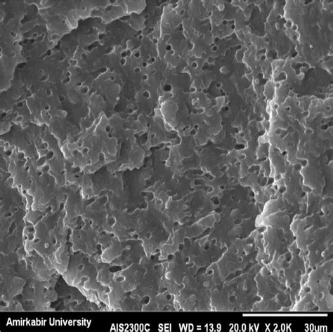 SEM Image Of A Two Phase Polymer Sample Including PP And EPDM Download Scientific Diagram
