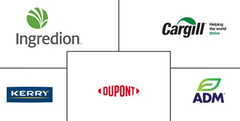 러시아 식품 유화제 시장 규모 및 점유율 분석 산업 연구 보고서 성장 동향