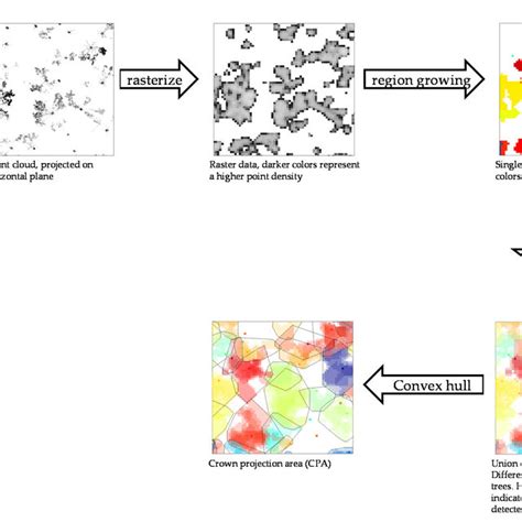 Flowchart Of The Multi Layer Seeded Region Growing Procedure The Download Scientific Diagram