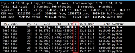 Linux High Wa From Top Command While Runing Pytorch Server Fault