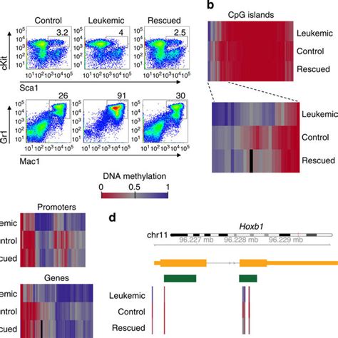 Reprogramming Erases The Aberrant Dna Methylation Patterns In Lips Download Scientific Diagram