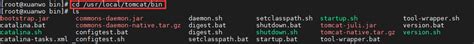 Linux 查看tomcat版本信息 龙凌云端 博客园