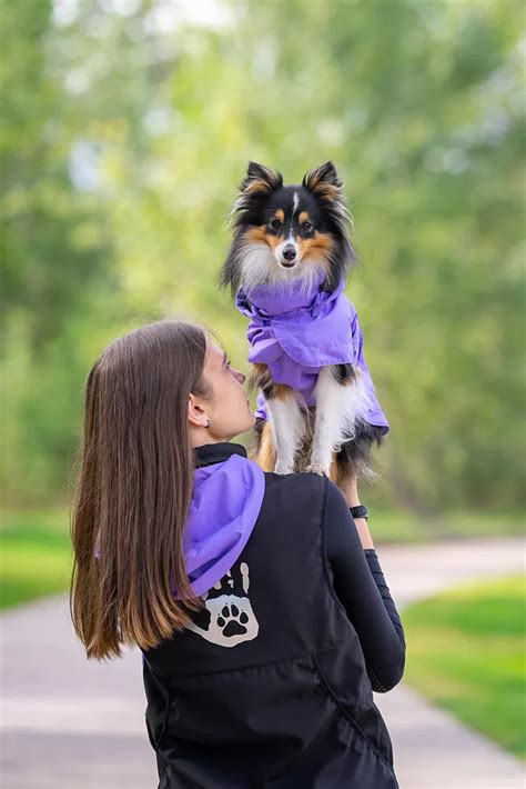 Одежда для собак в Красноярске Интернет магазин Балу