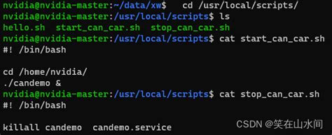 使用systemd设置程序开机自启动 systemd 分析启动顺序 csdn博客