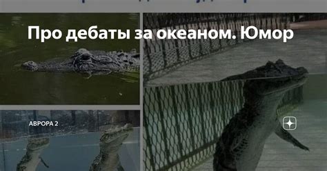 Про дебаты за океаном Юмор AВРОРА 2 Дзен