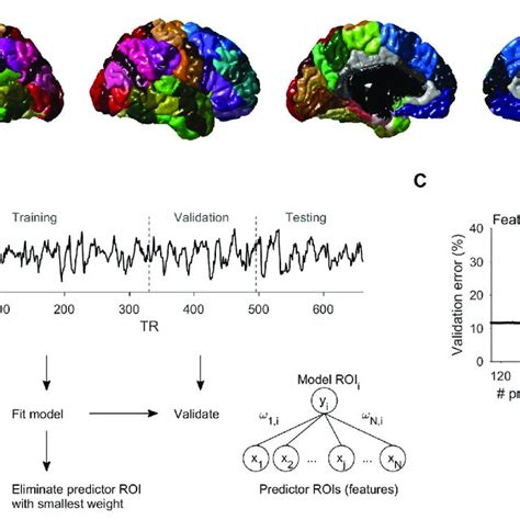 Recursive Feature Elimination For A Region Of Interest A Brain Volume