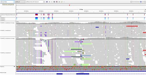 strange chunk in alignment potential cnv r bioinformatics