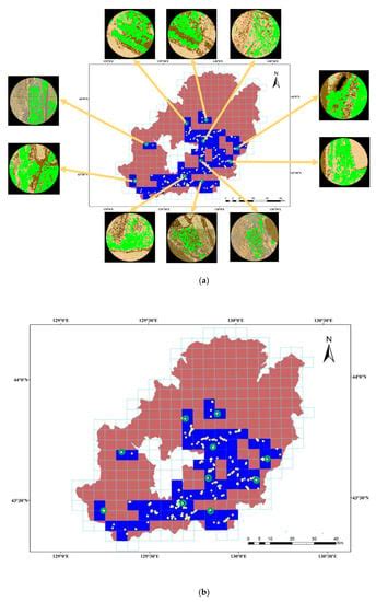 Tree Species Classification Using Airborne Lidar Data Based On Individual Tree Segmentation And