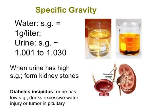 Normal Urine Specific Gravity Herykite