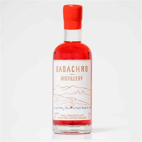 Raspberry Gin 50cl Handcrafted Scottish Gin Badachro Distillery