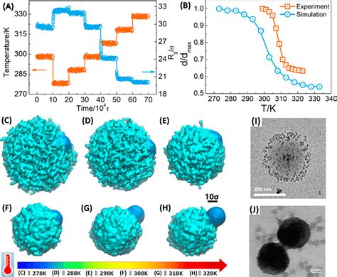 Engulfing Dynamics Of Nanoparticle Into The Thermoresponsive Microgel Download Scientific