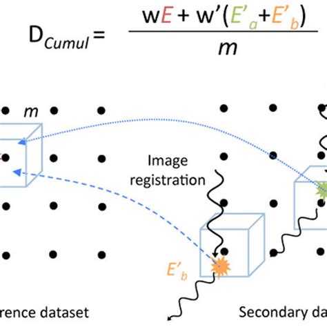 Direct Voxel Tracking Method W Weights For Each Breathing Phase D
